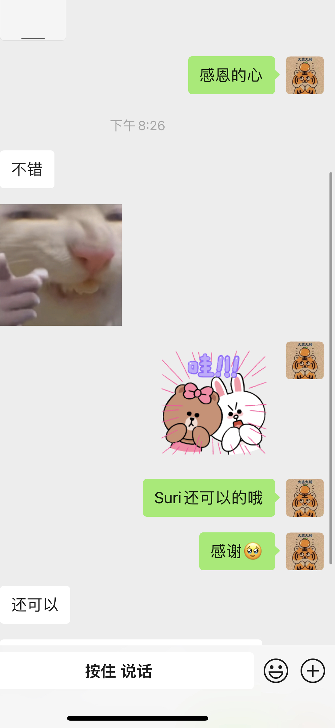 Suri - Cocolulusweety